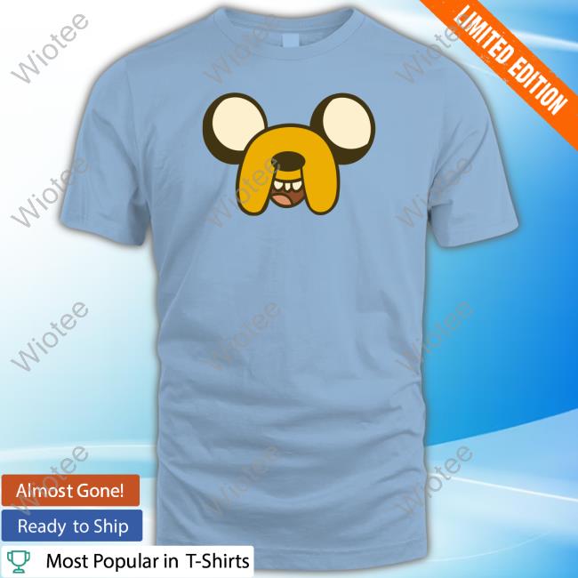 Adventure Time Jake Head